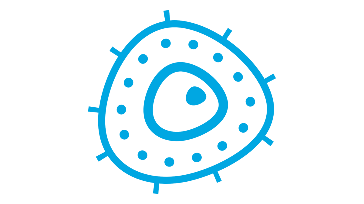 Enhance Your Cell Culture Skills | lablife.video