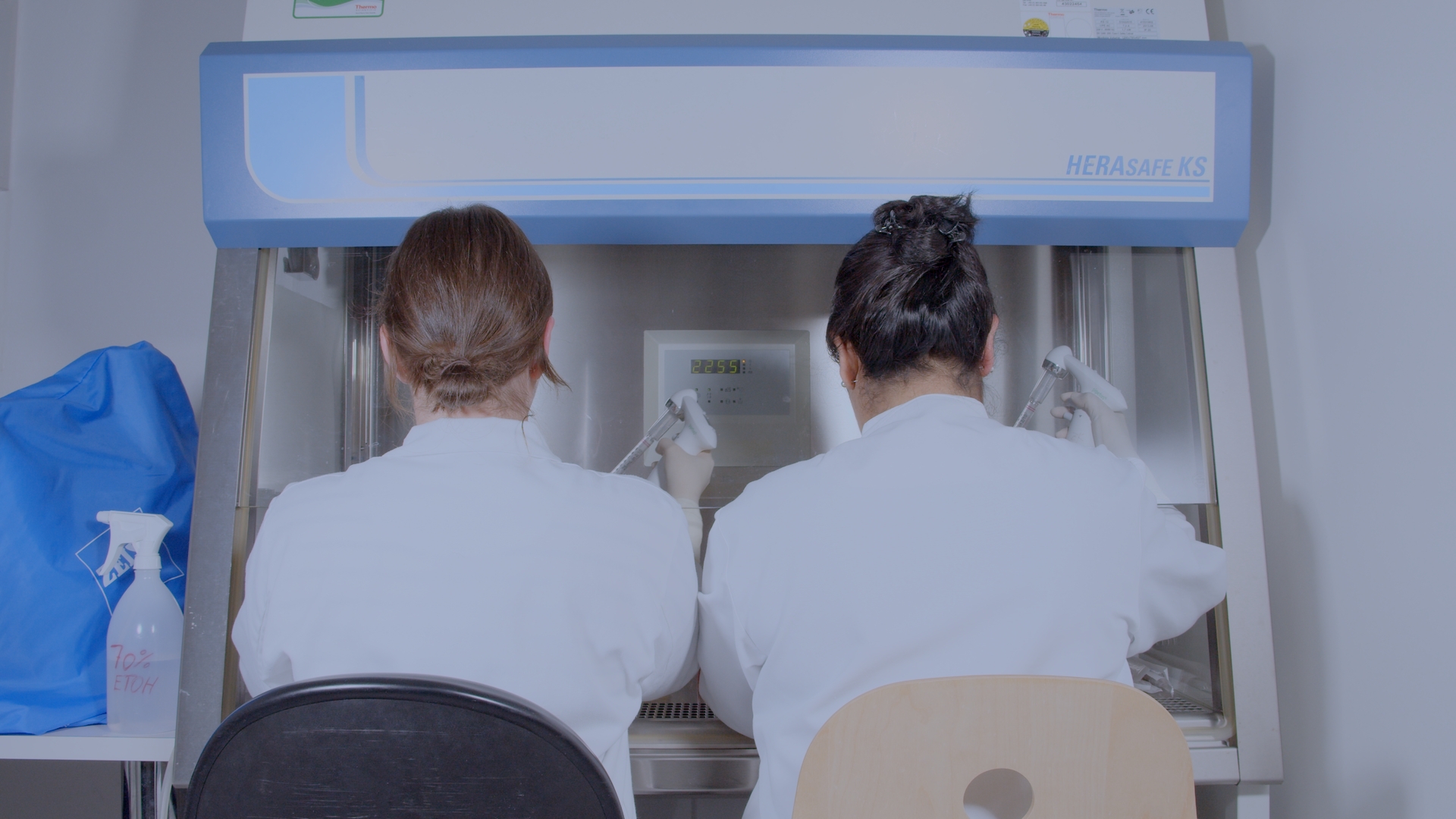 Should we freeze leftover cells | lablife.video